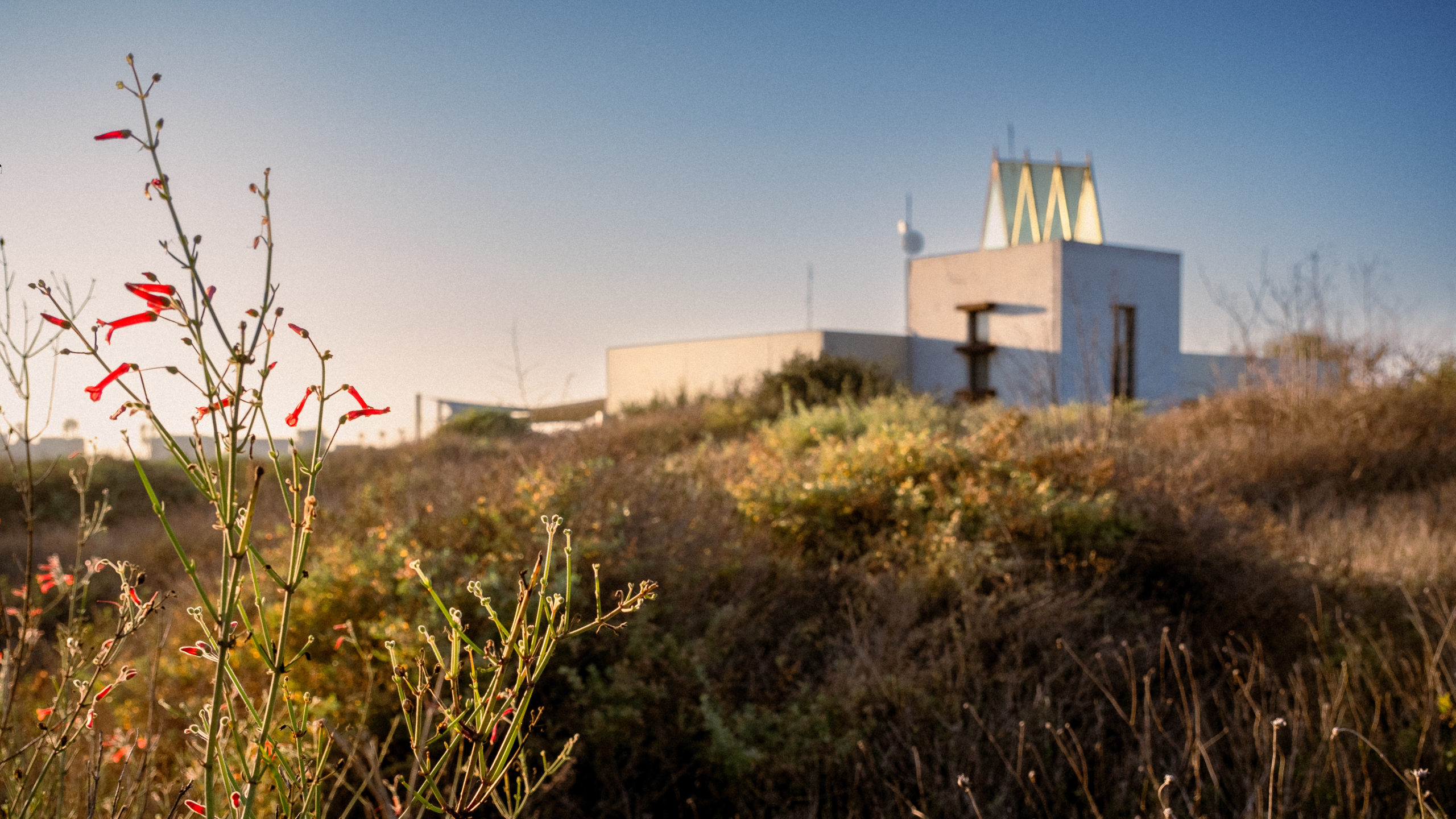 Tijuana Estuary Visitor Center - Tijuana Estuary - TRNERR