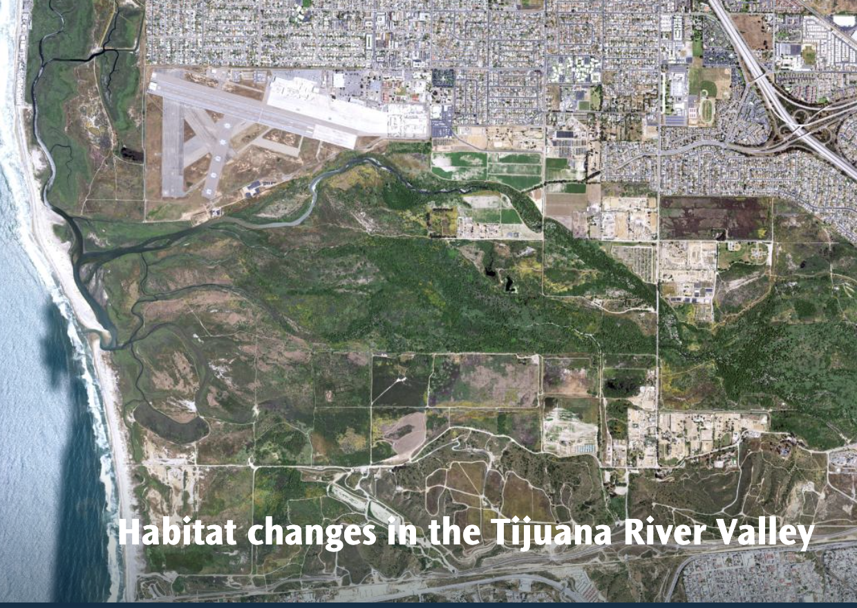 Habitat Changes in the Tijuana River Valley - Tijuana Estuary - TRNERR